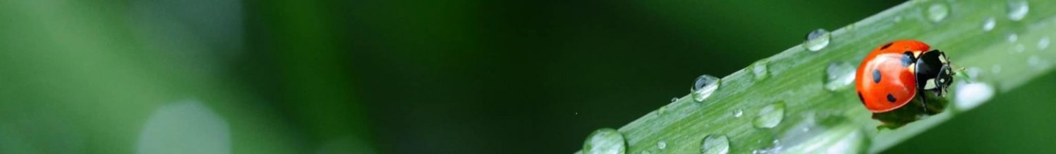 ¿Cómo es el software de RRHH de Meta4 y qué funciones incluye?