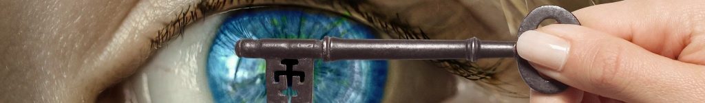 Key user : usuario clave que tiene alto nivel de conocimiento y experiencia