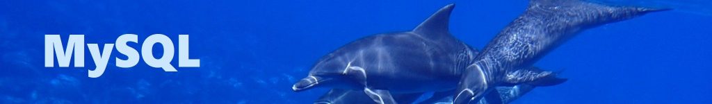 MySQL: ¿cómo funciona este sistema de gestión de base de datos?