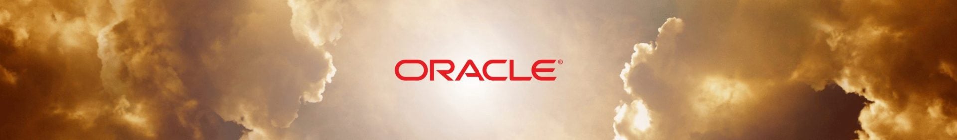 ¿Cómo es el sistema Oracle Cloud ERP y cuándo es una buena opción?