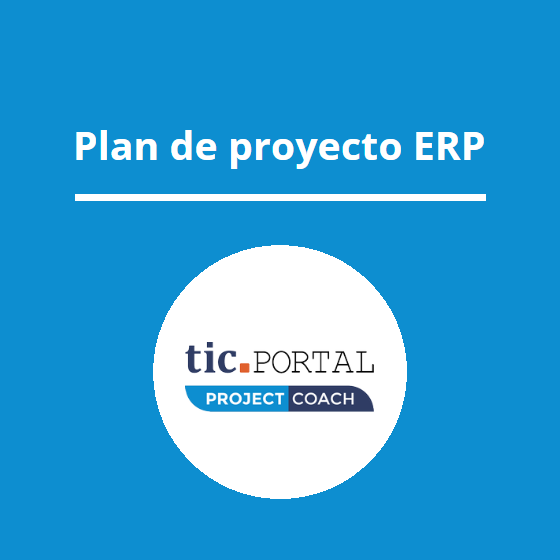 Generador de plan de proyecto ERP